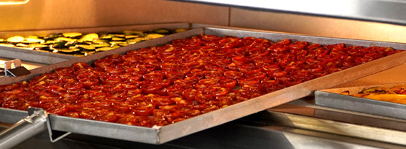 SerieS - Moretti Forni USA